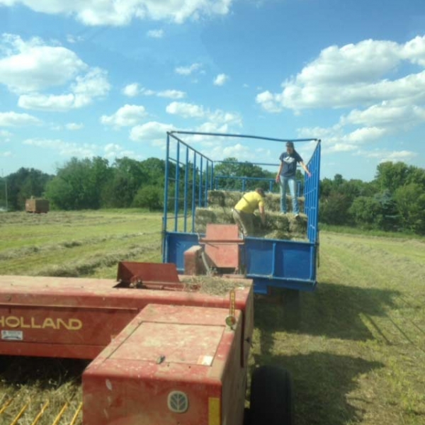 Custom Farming – G&F Family Farms